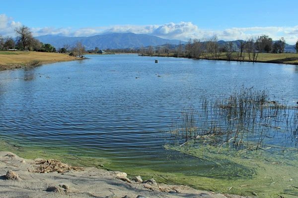 Prado Regional Park, California