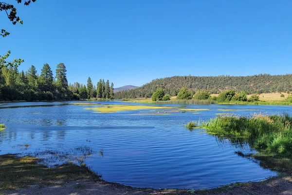 Baum Lake, Shasta County, California